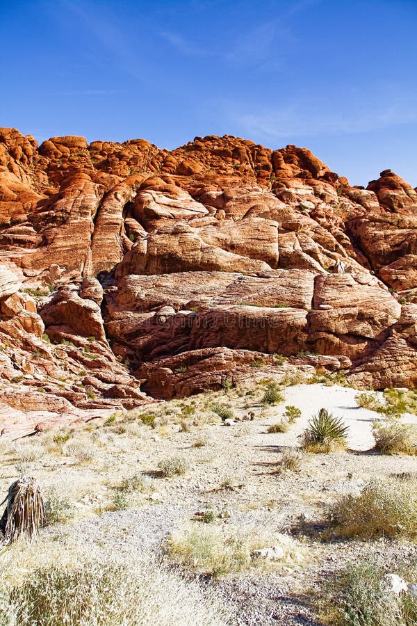 Red Rock Canyon in Las Vegas Stock Image - Image of hiking, cactus ...