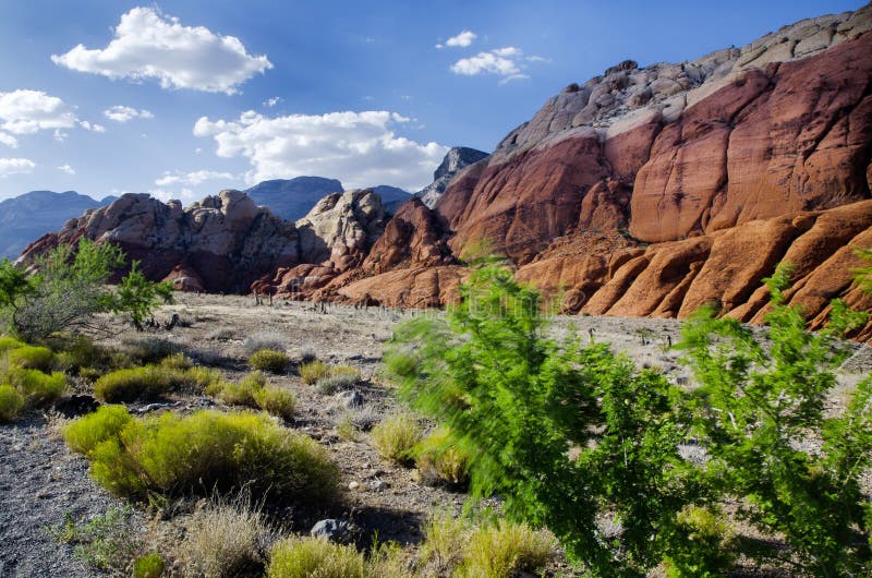 Red Rock Canyon - National Conservation Area Stock Image - Image of ...