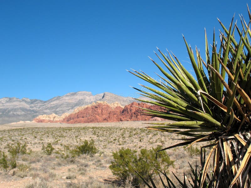 Red Rock Canyon, Nevada Picture. Image: 4713940