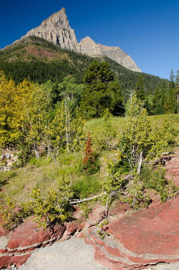 Red Rock Canyon in Waterton National Park Stock Image - Image of gorge ...