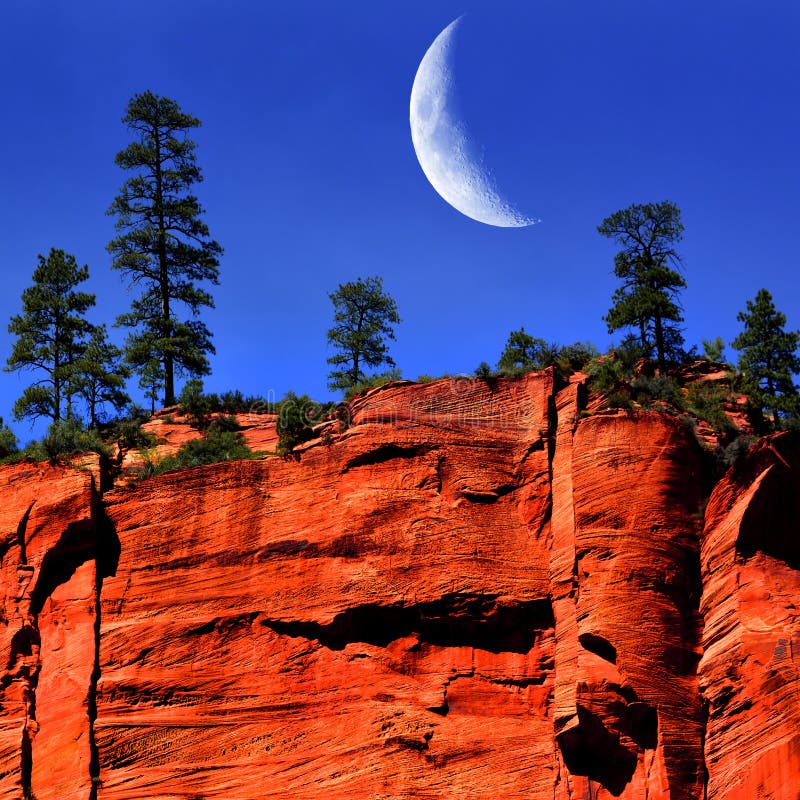 Red Rock Cliff Face Zions National Park Utah Wilderness Mountains ...
