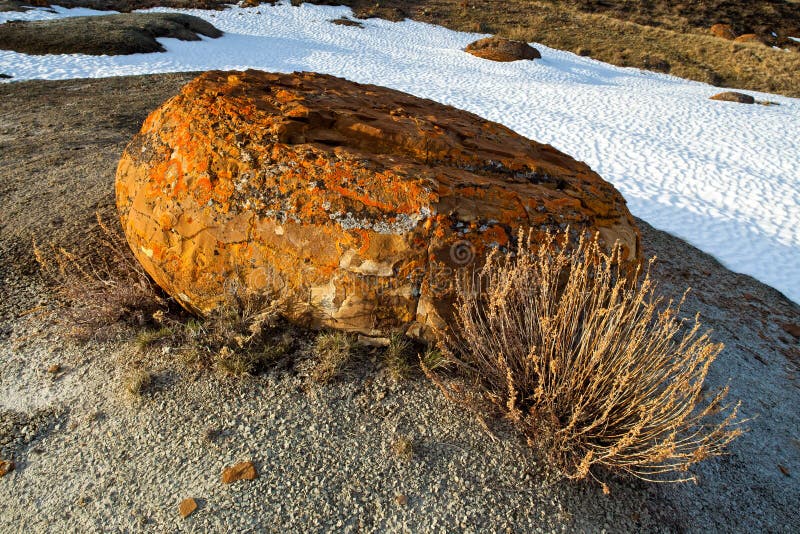 Red Rock Coulee in Southern Alberta, Canada Stock Image - Image of ...