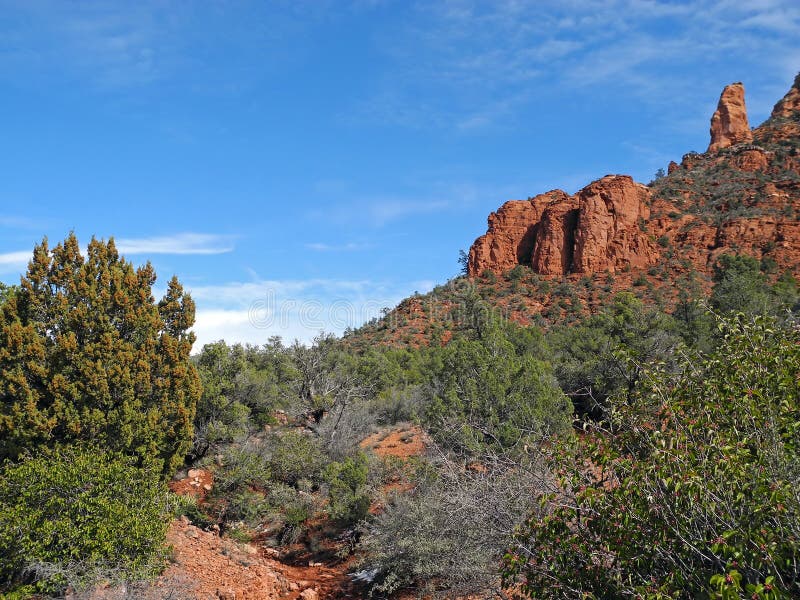 Red Rock, Emerald Brush stock photo. Image of airy, botanical - 20035228