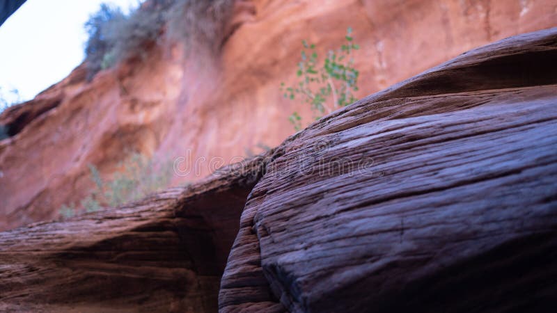 Red Rock Face with Mossy Trees and Rocks Stock Image - Image of trees ...