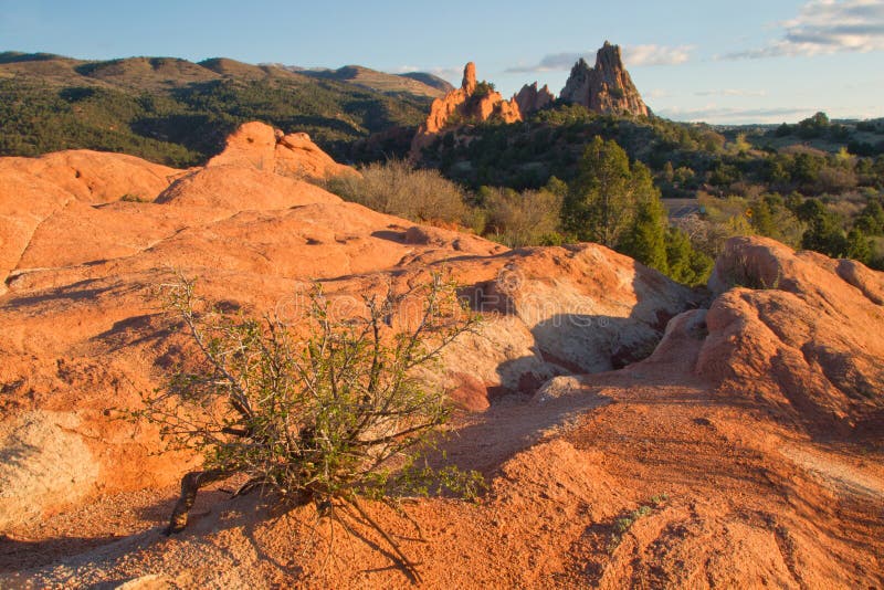 Red Rock Foreground with Garden of the Gods in the Background Stock ...