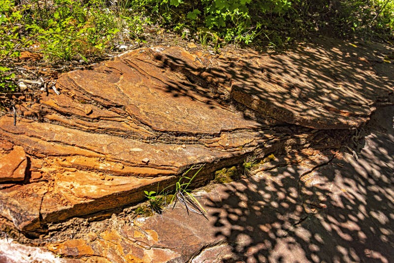 In the Forest at West Fork Trail Which is in Sedona, Arizona Stock ...