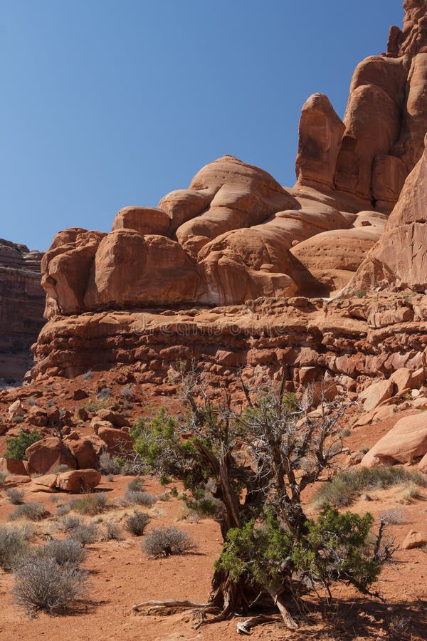 Red Rock Formations in Arches National Park, Utah Stock Photo - Image ...