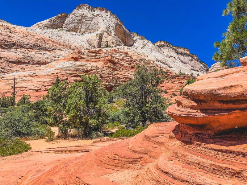Rock Waves in Zion National Park Stock Image - Image of melted, states ...