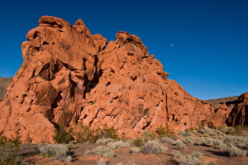 Red rock and moon stock photo. Image of desert, plants - 4348448