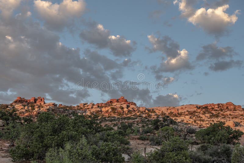 Red Rock Piles Behind Juniper Trees Stock Photo - Image of peak ...