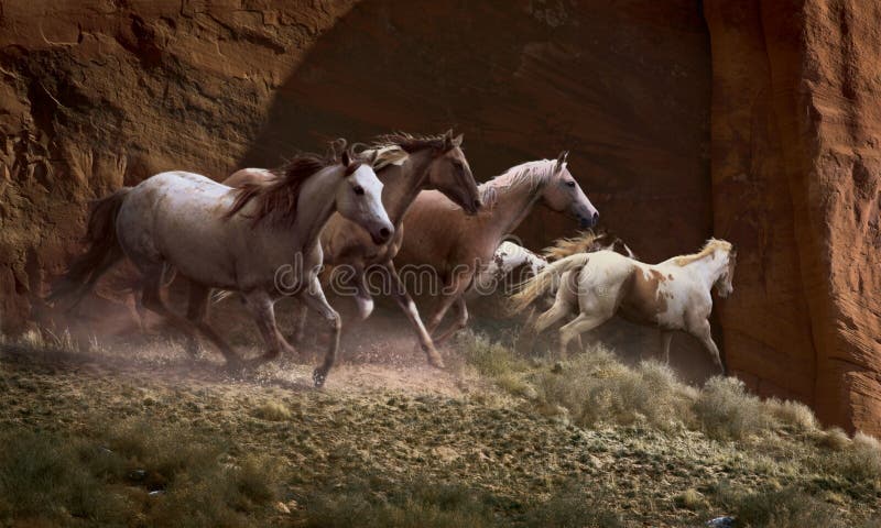 Red Rock Runners stock photo. Image of running, mexico - 10464166