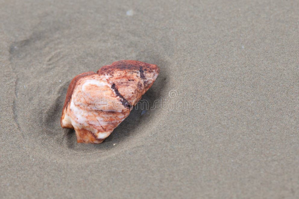 Red rock on the sand beach stock photo. Image of marine - 40510020