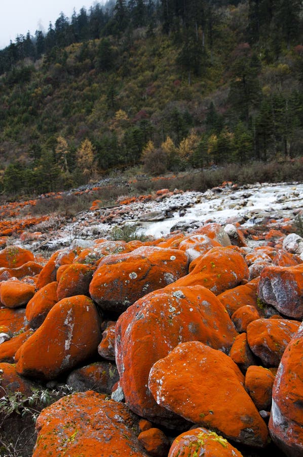 A Rock in a Stream in Front of a Small Reservoir. Stock Photo - Image ...