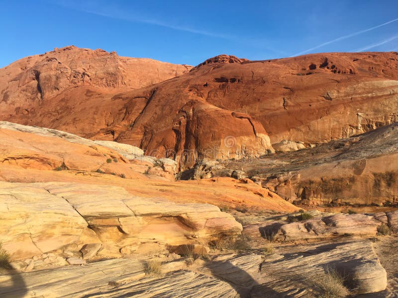 Red Rock Structure and Cactus in Valley of Fire, Nevada, USA Stock ...