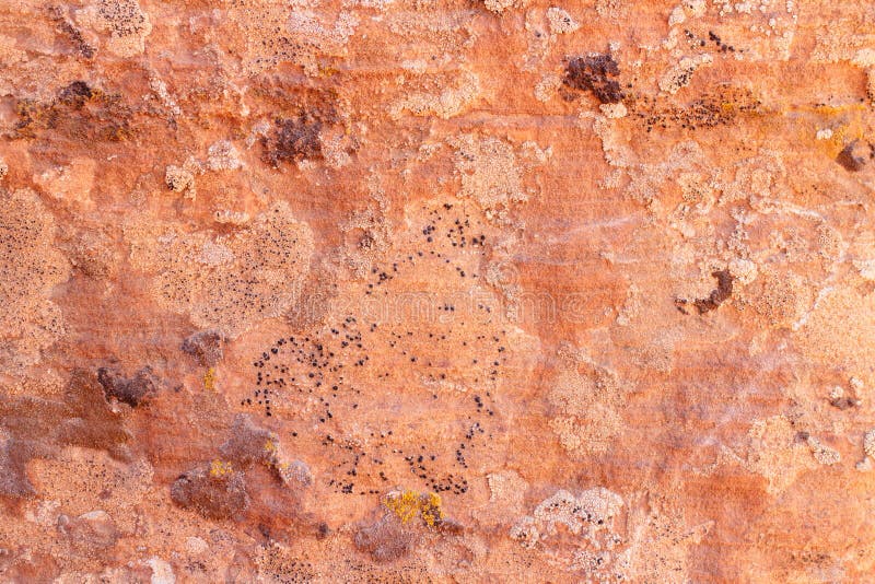 9,435 Rock Texture Arizona Stock Photos - Free & Royalty-Free Stock ...