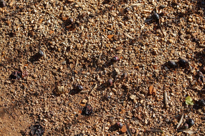 Red Rock Texture. Background. for Text. for Banner. Horizontal Stock ...