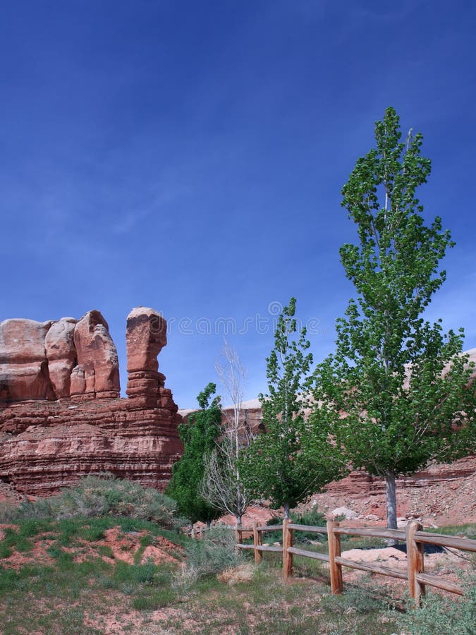 Red rock and tree in Utah stock image. Image of sand - 14265131