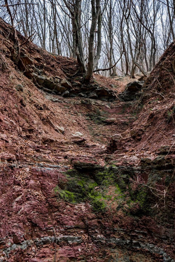Red Rock Walls of Ravine with Trees on the Top Stock Photo - Image of ...