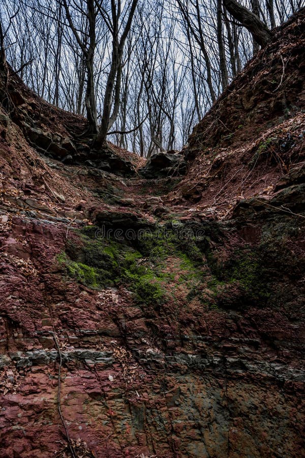 Red Rock Walls of Ravine with Trees on the Top Stock Image - Image of ...