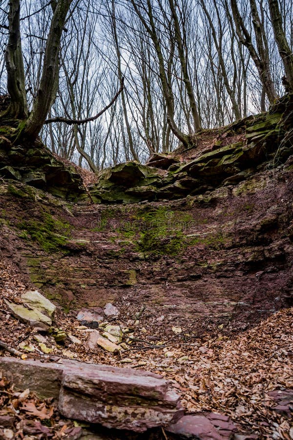 Red Rock Walls of Ravine with Trees on the Top Stock Photo - Image of ...