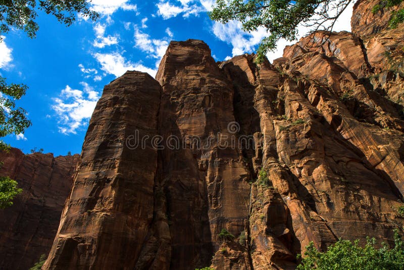 Red Rock at Zion stock photo. Image of sheep, wild, gravel - 40394858