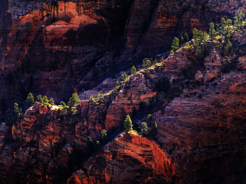 Red Rock in Zions National Park with Pine Trees Stock Image - Image of ...