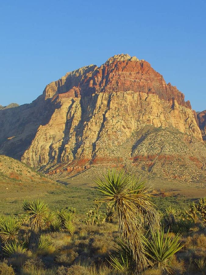 Red Rocks stock photo. Image of - 91785558