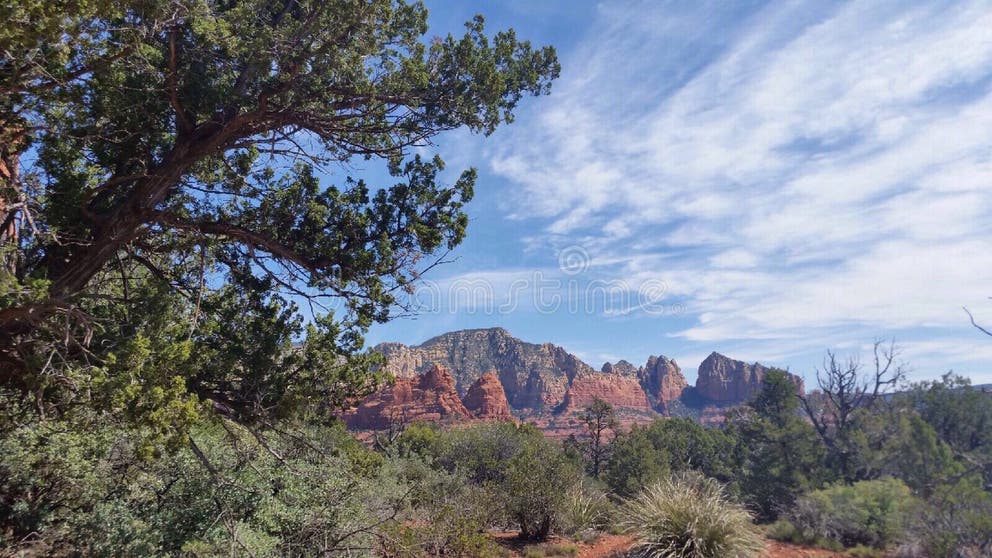 Red rocks in Arizona stock photo. Image of tree, rocks - 54806134