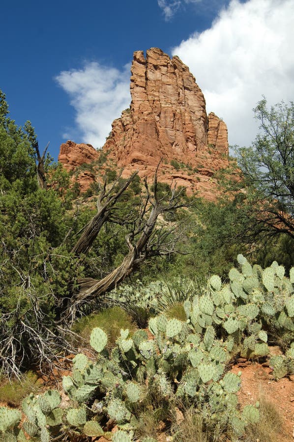 Red Rocks in Arizona Desert Stock Image - Image of sand, landscape ...