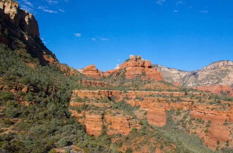 Red Rocks, Sedona Arizona stock photo. Image of juniper - 11754098