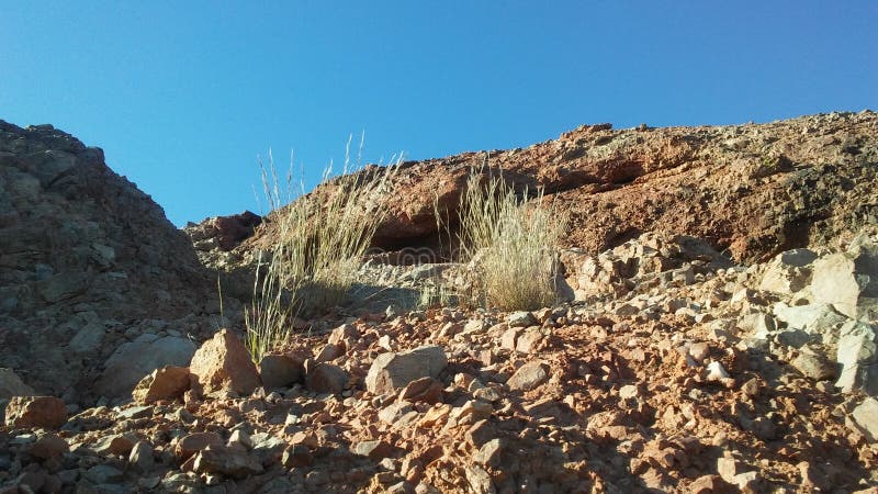 Red Rocks in Desert in Phoenix, Arizona in Spring. Stock Image - Image ...