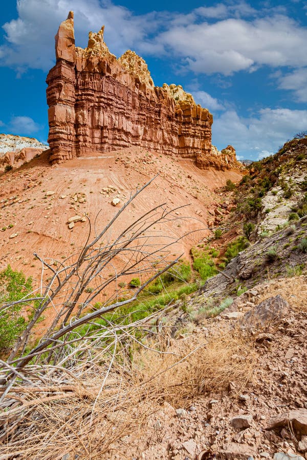 Red Rocks of Fire of the Desert South West Stock Image - Image of south ...