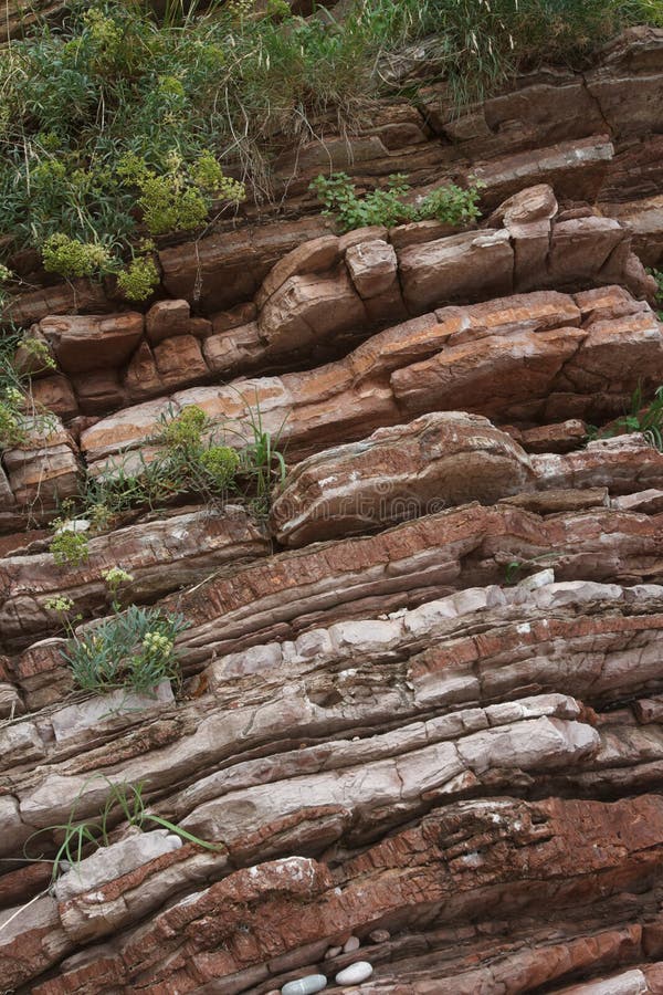Red Rocks with Growing Plants Close-up, Vertical Stock Image - Image of ...