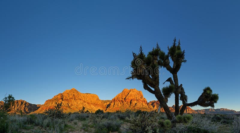 Red Rocks Morning stock image. Image of mount, peak, space - 52167127
