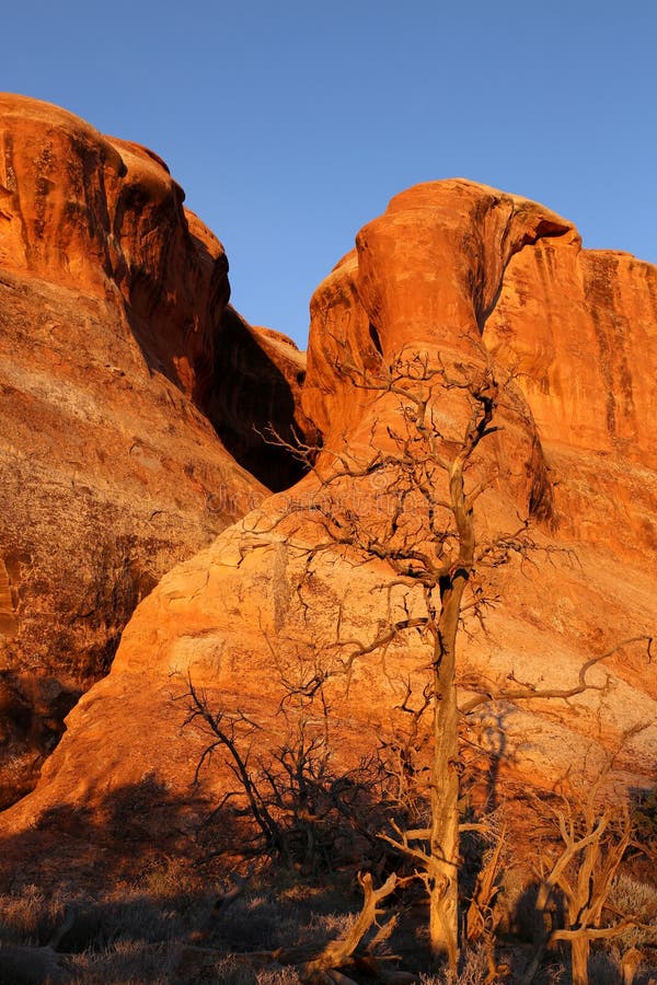 Red Rocks in the Morning Sun Stock Photo - Image of ground, travel ...