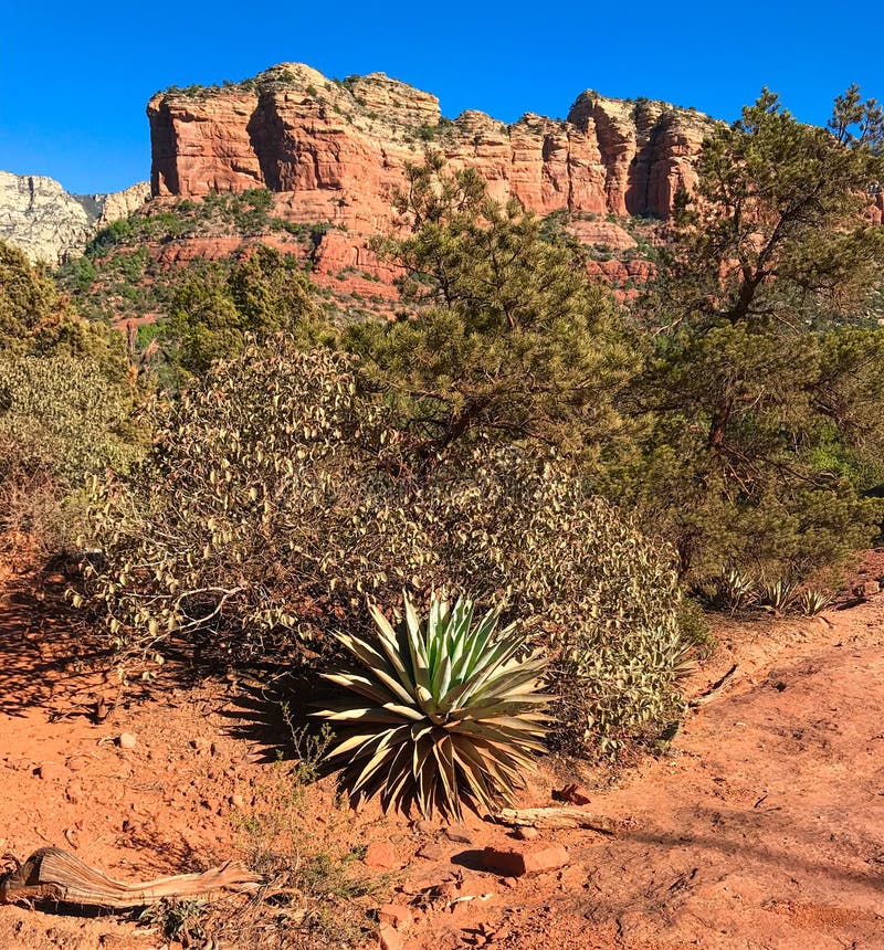 Red Rocks of Sedona stock image. Image of formation, canyon - 10566717