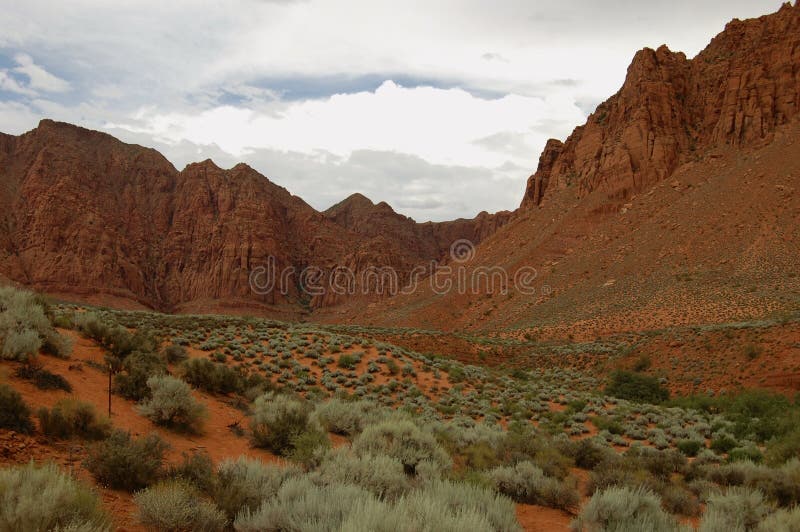 Utah Sage Brush stock image. Image of erosion, valley - 17605025