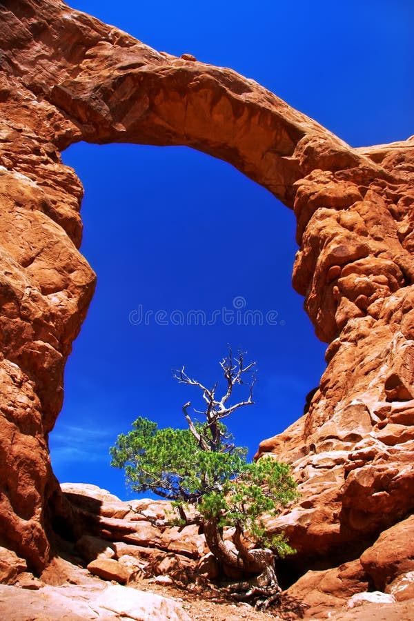 Red rocks of Utah stock photo. Image of destinations - 10392512