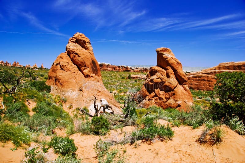 Red rocks of Utah stock photo. Image of morning, grass - 10642230