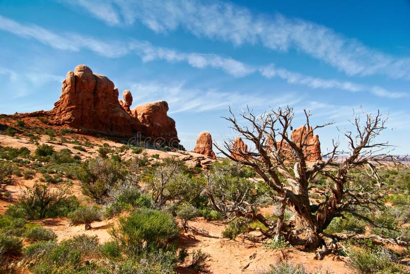 Red rocks of Utah stock image. Image of desert, mountains - 10912357