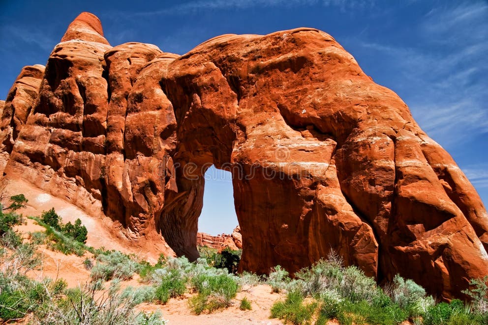 Red rocks of Utah stock image. Image of green, landscape - 12497011
