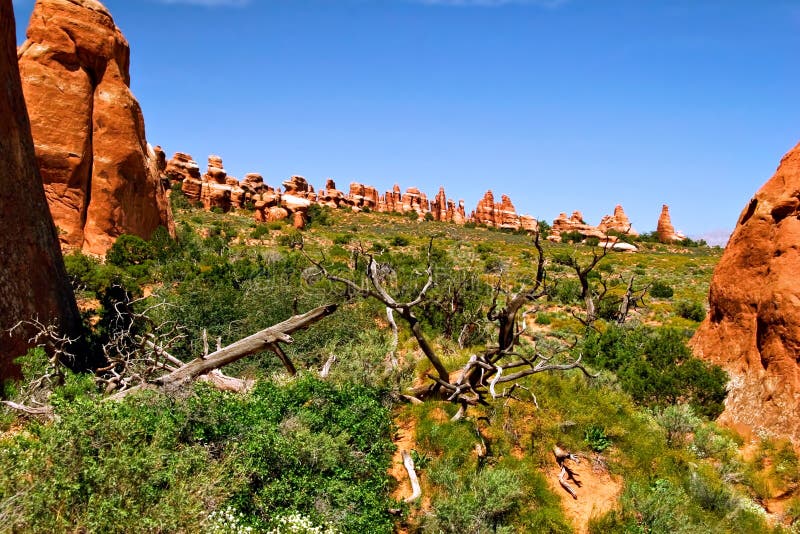 Red rocks of Utah stock image. Image of destination, destinations ...