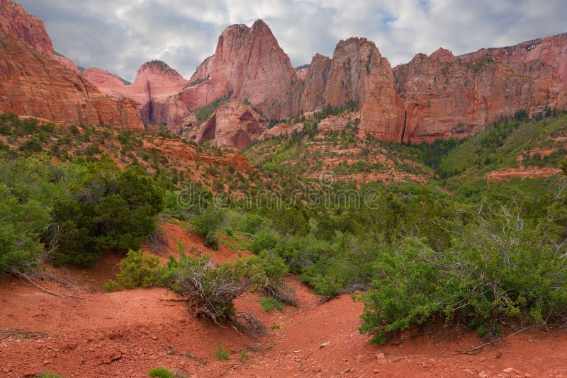Red rocks of Zion stock photo. Image of mountains, view - 17744312