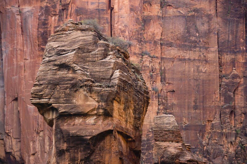 Red rocks of Zion stock image. Image of zion, national - 7184561