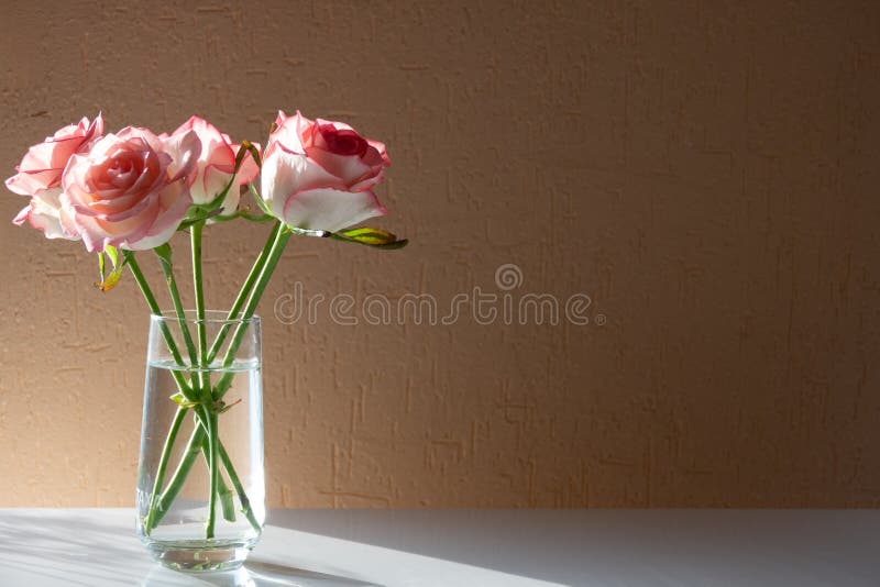 Red Romantic Rose in Vase from Glass Stock Photo - Image of valentine ...