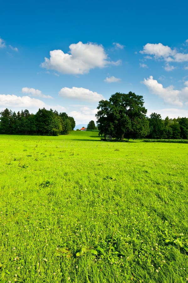Red Roof stock photo. Image of growth, blue, alps, europe - 26181370