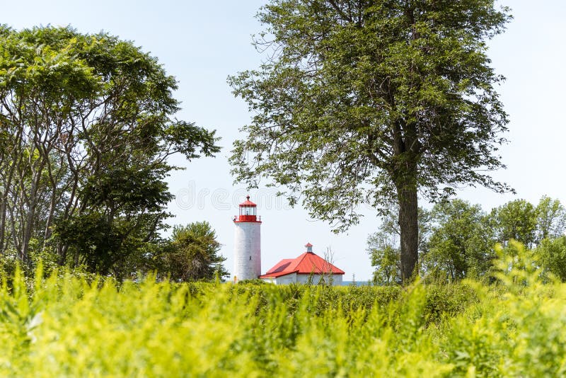 A Red Roofed Lighthouse Framed by Trees Stock Photo - Image of light ...