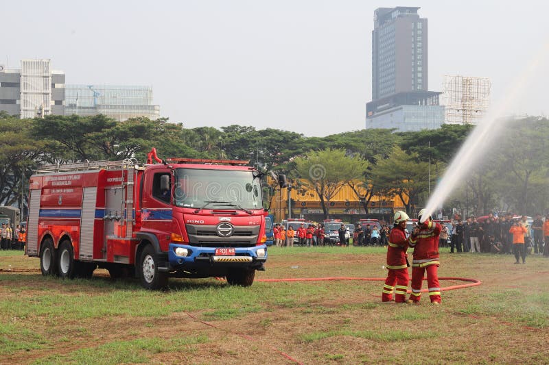 The Red Rooster from Indonesia Editorial Photography - Image of rooster ...