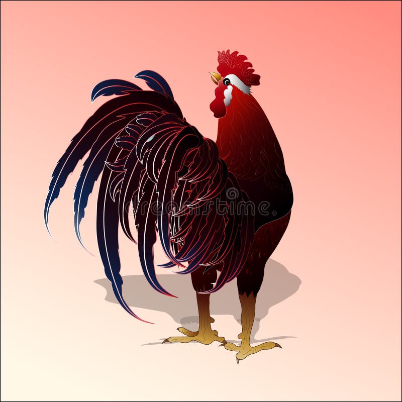 Red Rooster, Symbol of New Year. Stock Vector - Illustration of ...