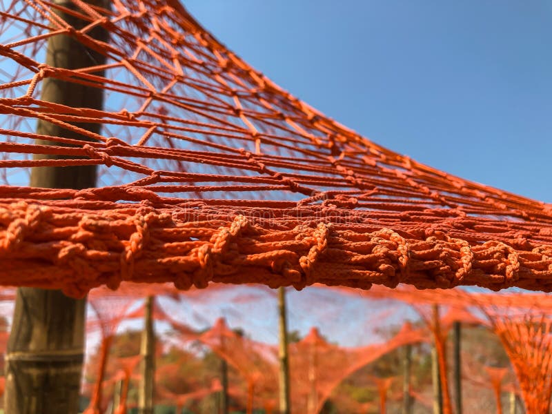 Red rope sculpture stock photo. Image of convolution - 306530810